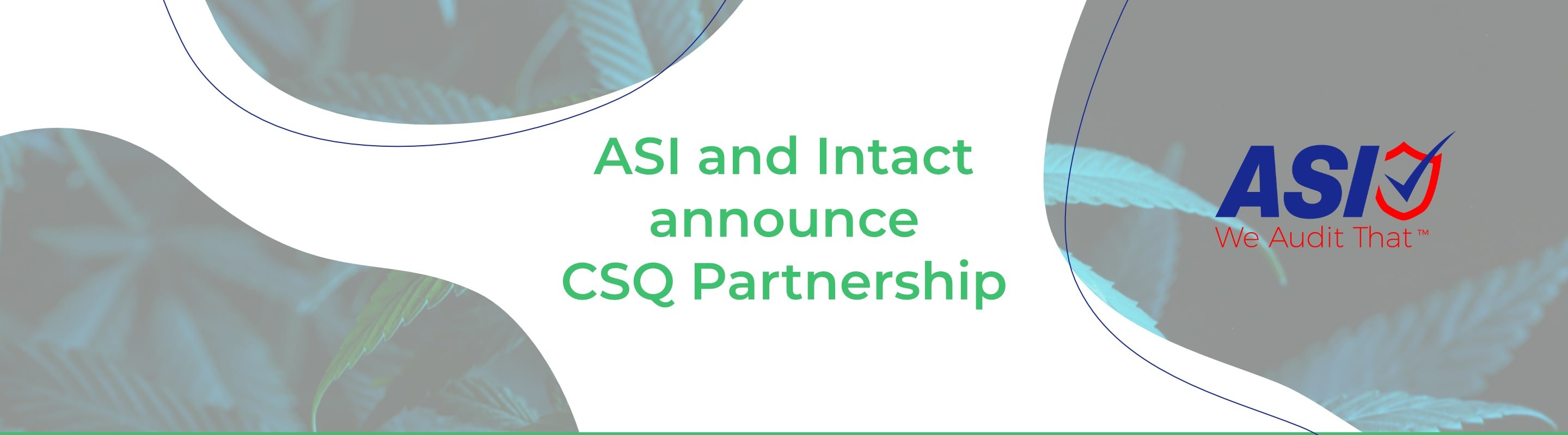 ASI and Intact Partnership | Intact