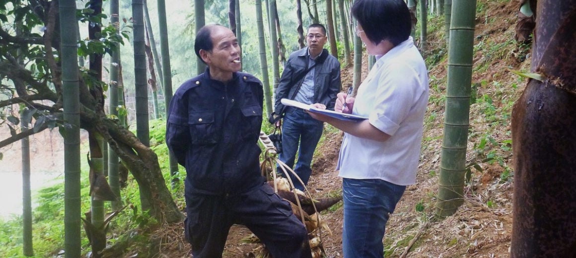 5 Step Guide to Effective Social & Environmental Audit Programs | Intact