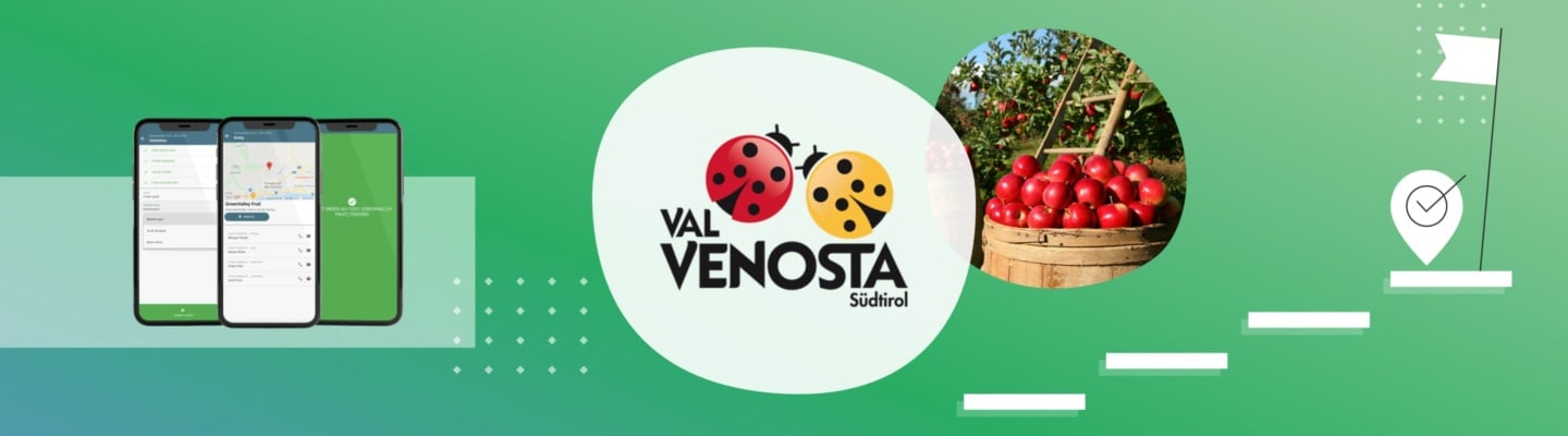 VIP Mobile Audit Case Study with Intact