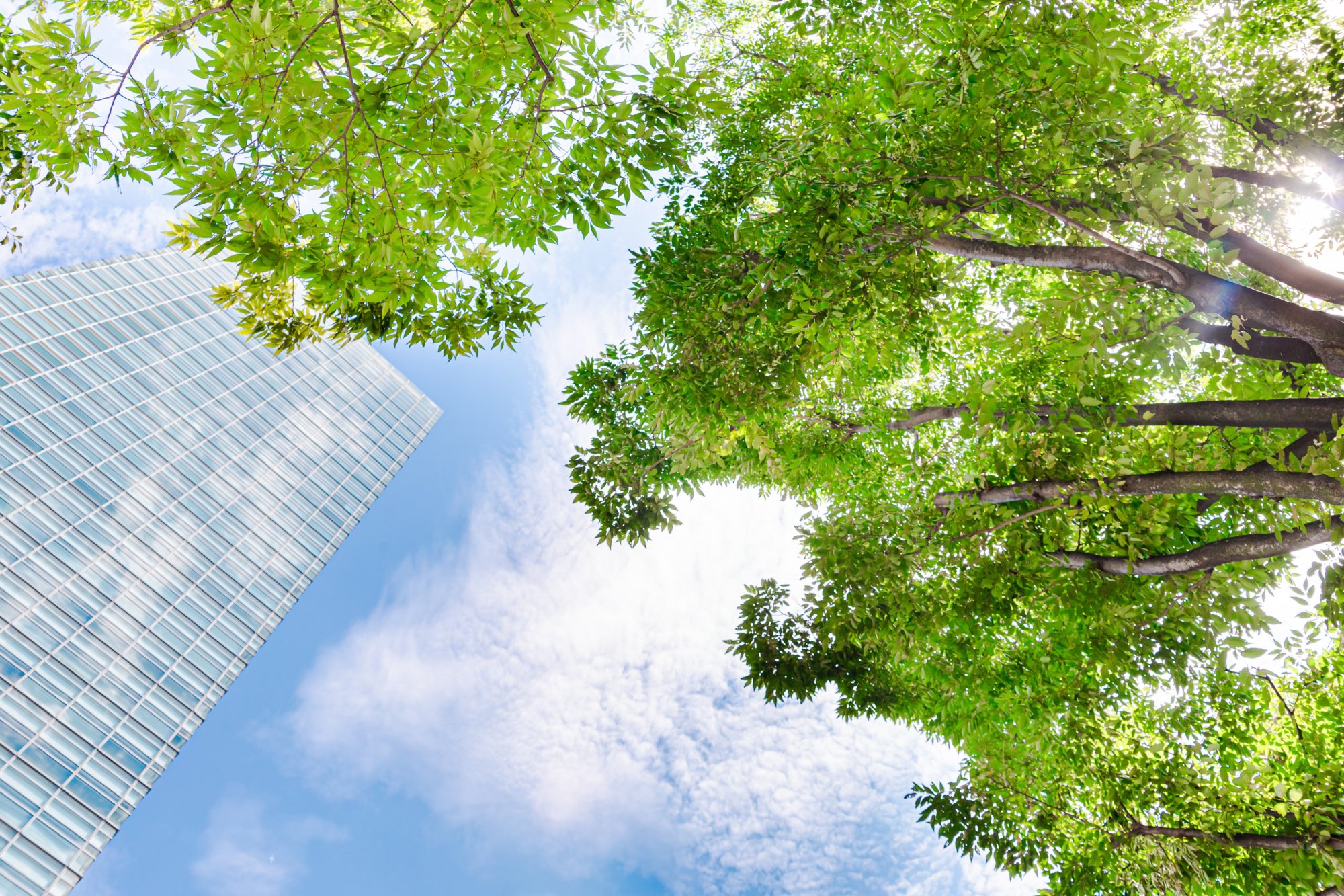 About Intact - Industry-Leading SaaS Solutions