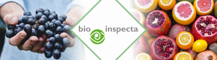 bio.inspecta — Efficient Audits and Certifications with Intact