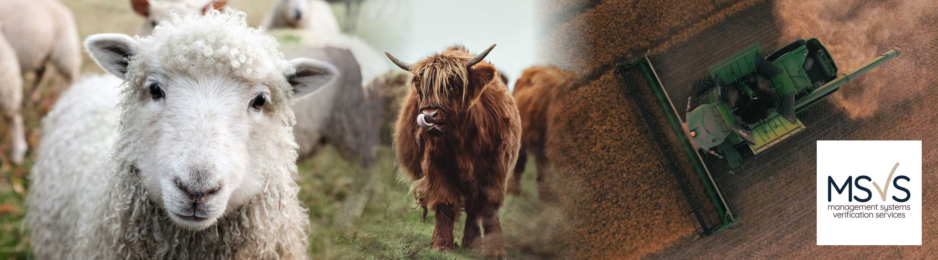 Intact Spark Case Study about MSVS | Intact