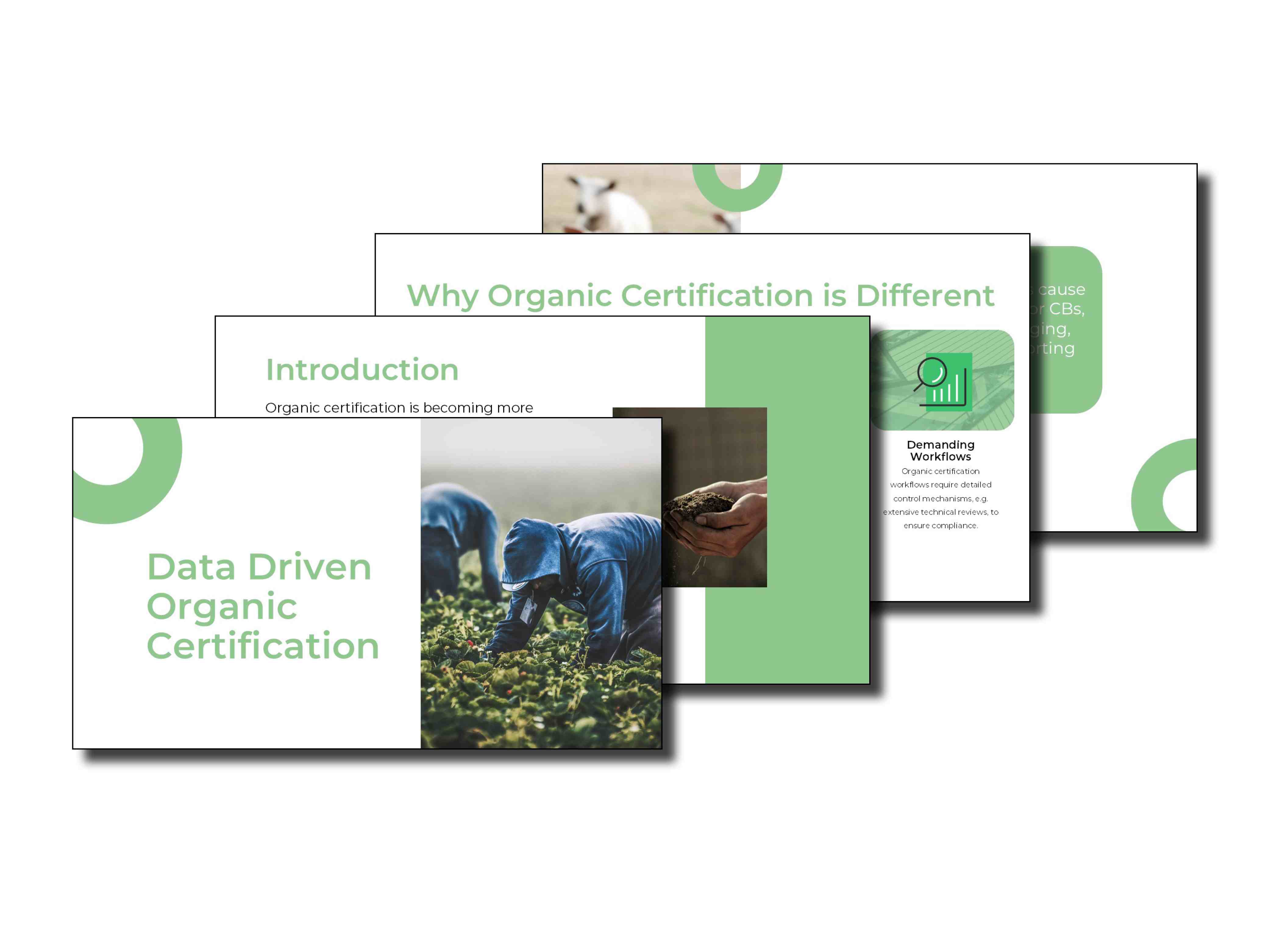 Intact Resources: Whitepapers, Webinars and much more