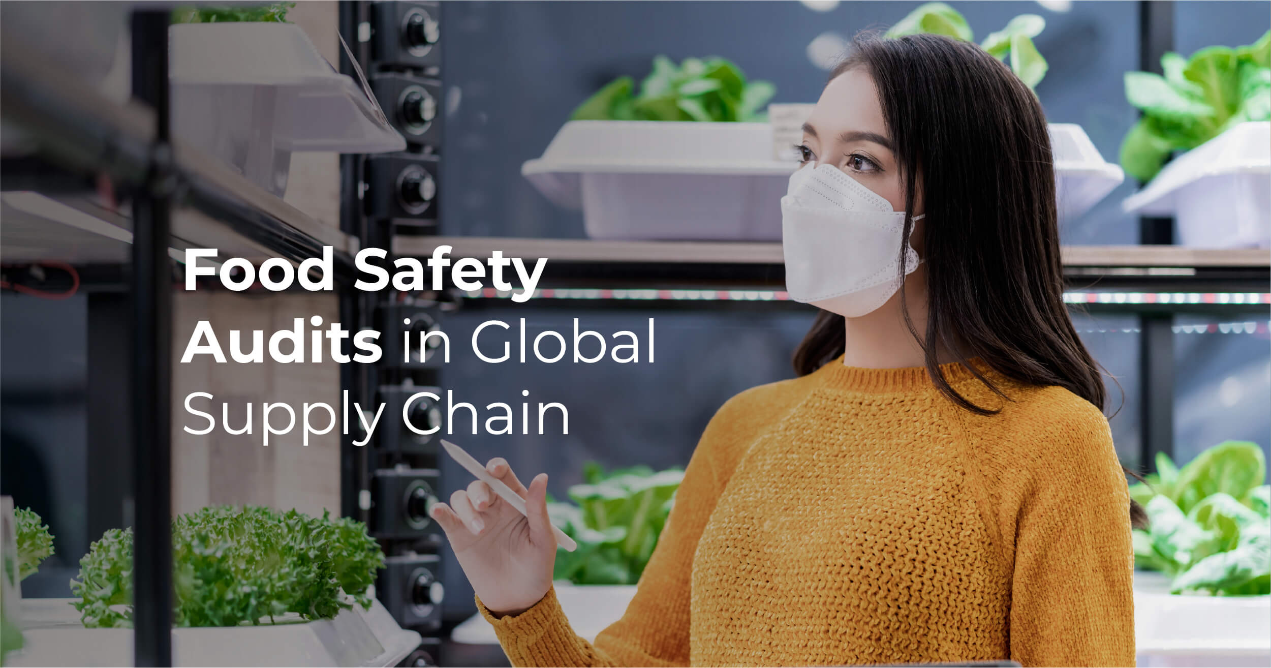 Scaling Global Food Safety Audits Efficiently | Intact